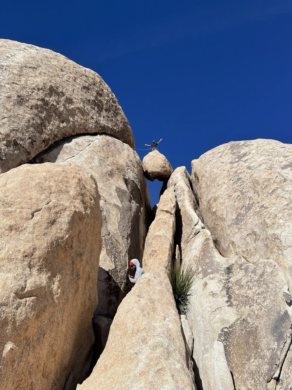 The Indiana Jones boulder.