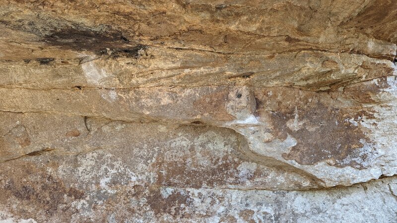 Start holds of Francesca. Left hand on a bad crimp, right on a crimpy ...