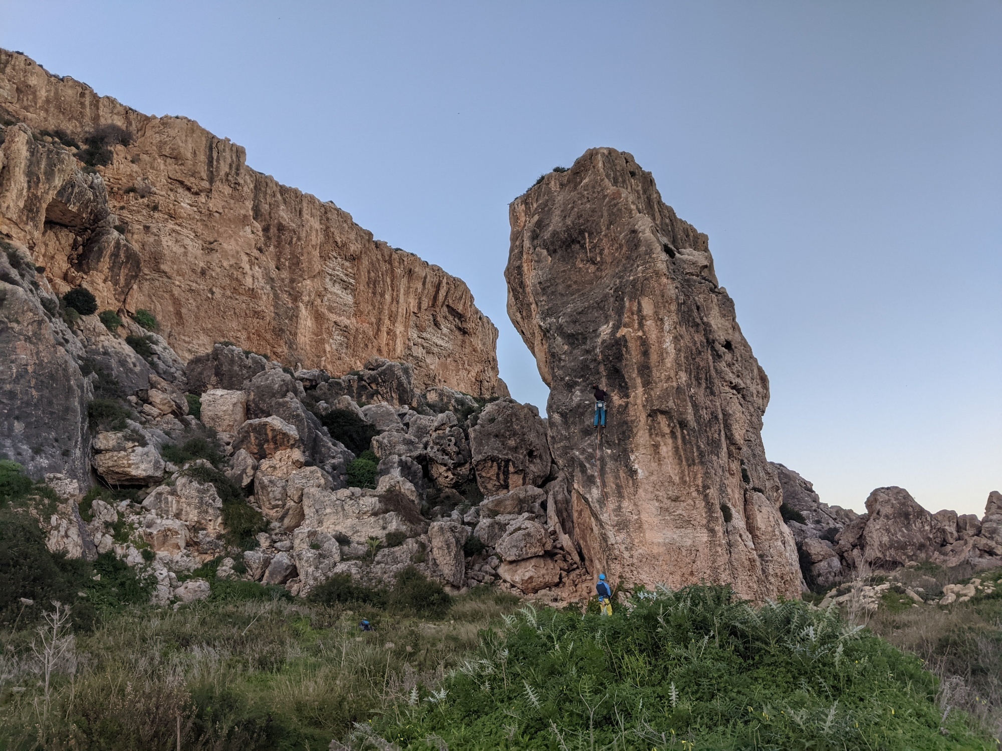 Sopu Tower - A Tale of two Budgies