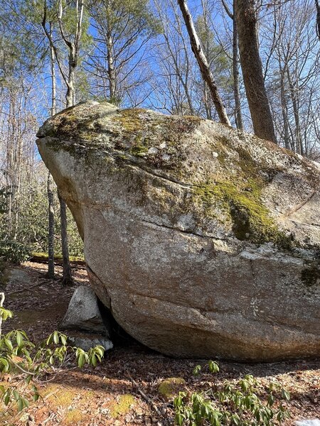 Climb Hroo? (Hroom SemiDirect), Arcadia Management Area