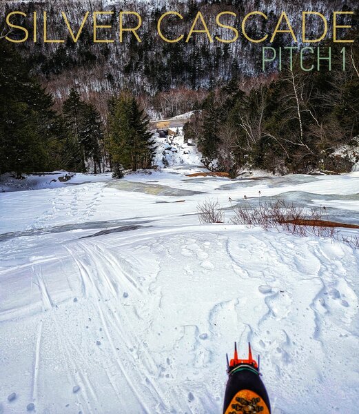 Looking down the first few pitches