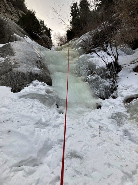 Upper gully Feb 9 2022