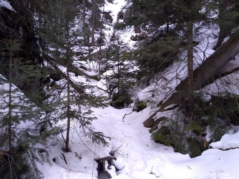 The price of admission...