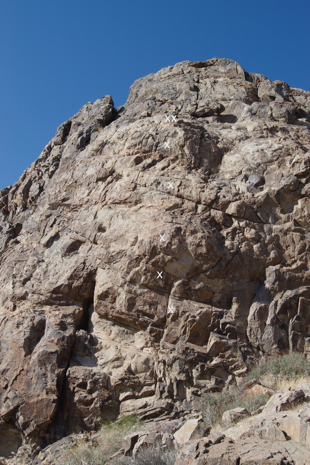 beholden urceus bolt line