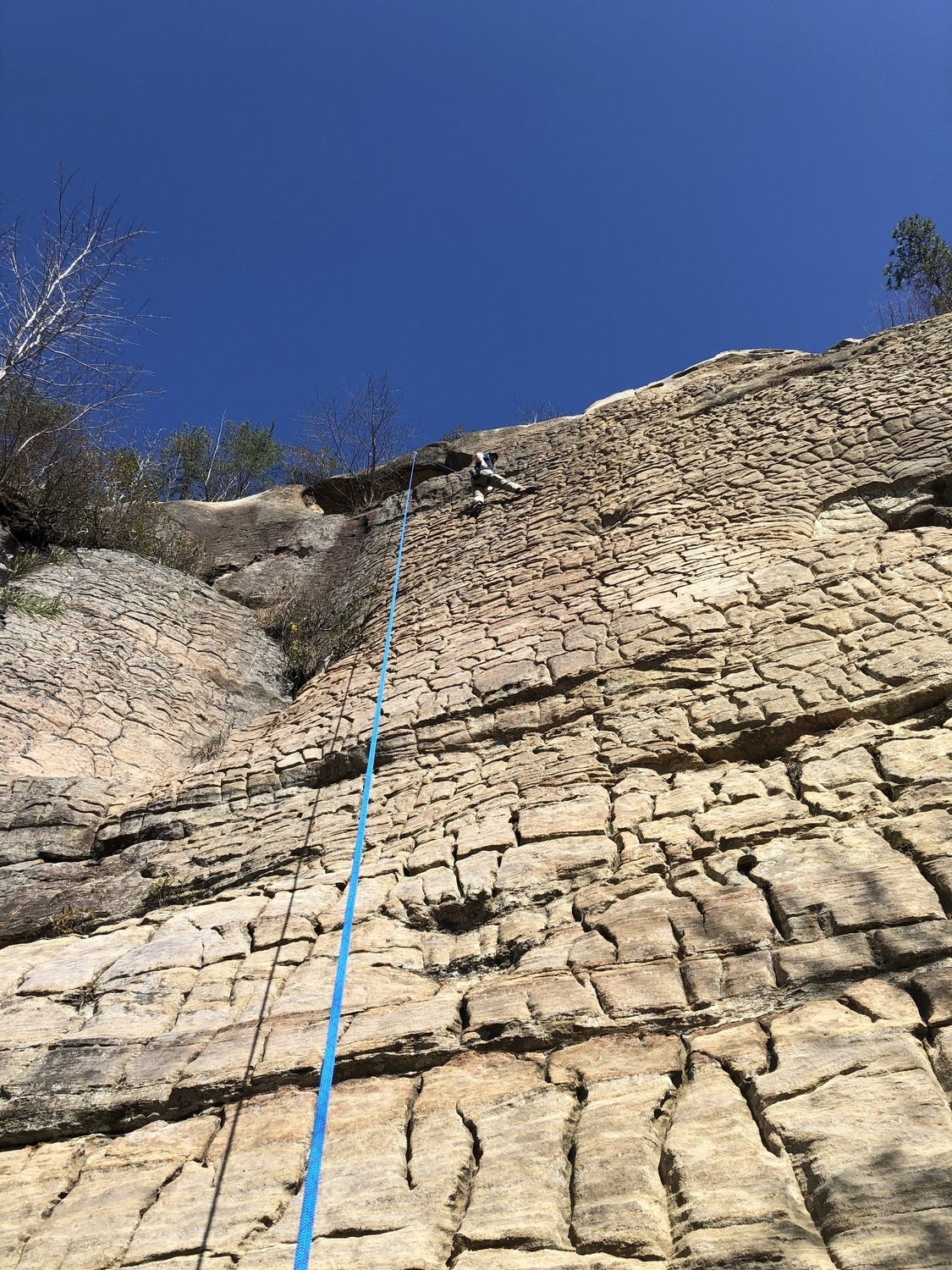 Easy climb off top rope