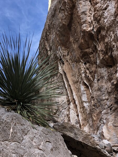 Rock Climbing in 1 - The Gap, Southern Arizona