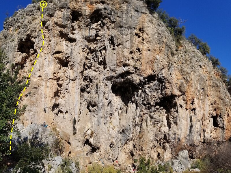 Chili Con Pillar topo beta.