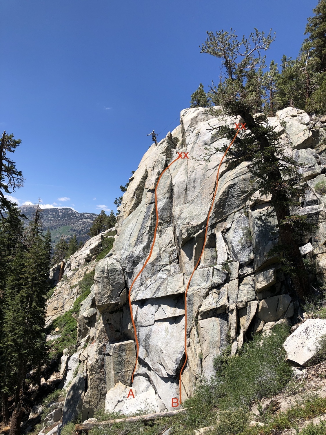 A. Yellow Thunder B. Long in Tooth