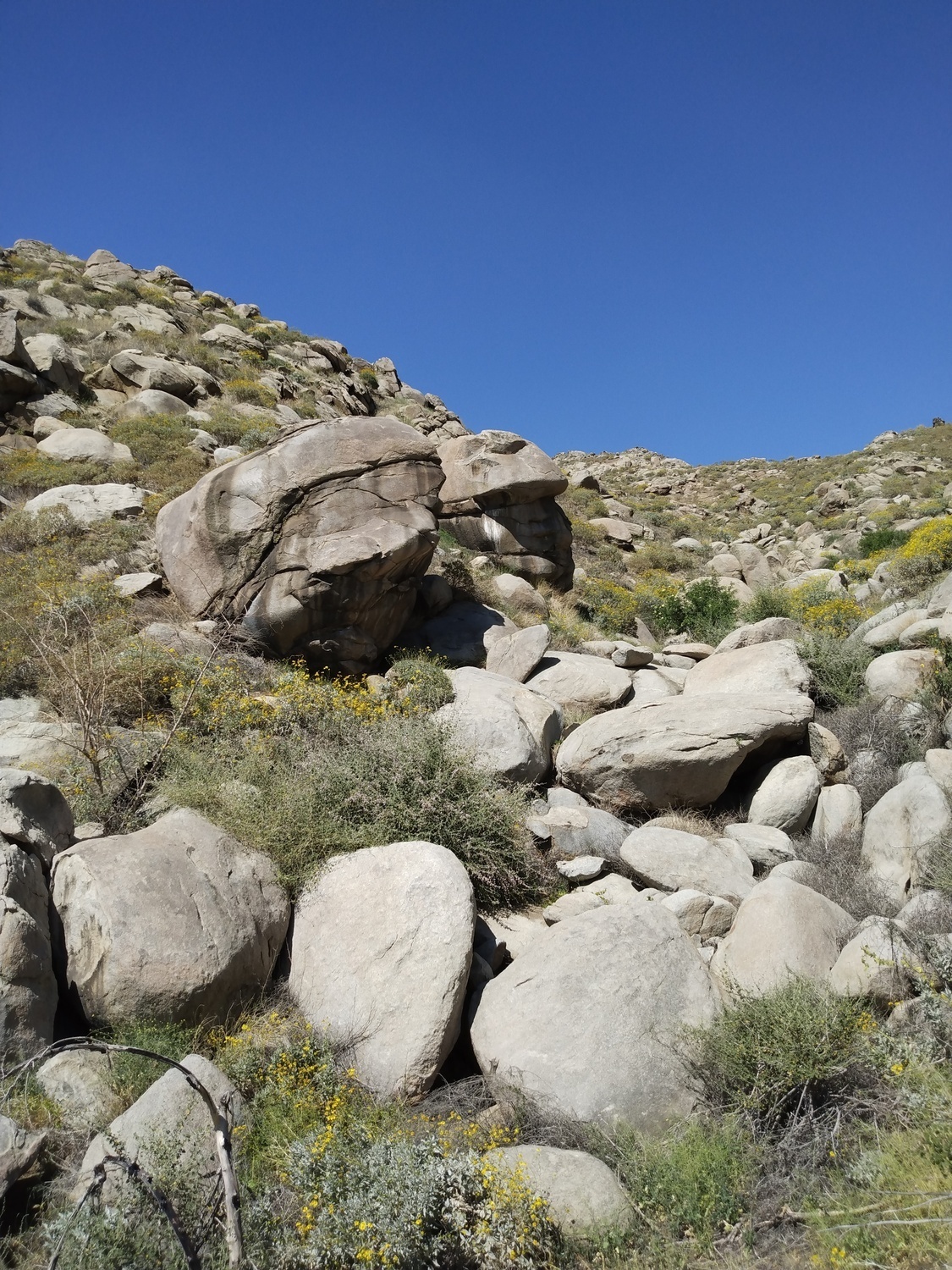 The view from the trail, Box Springs Mountain Reserve