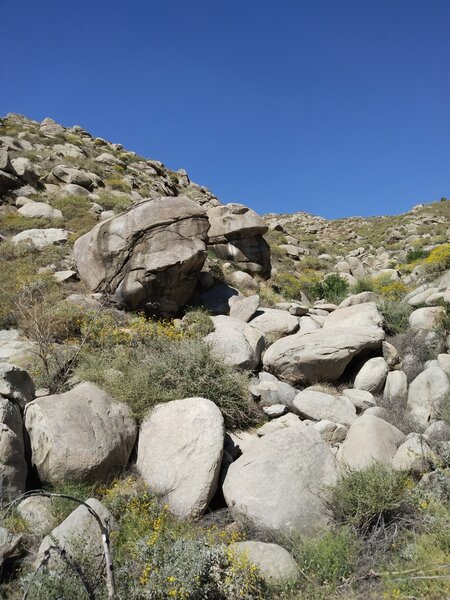 The view from the trail, Box Springs Mountain Reserve