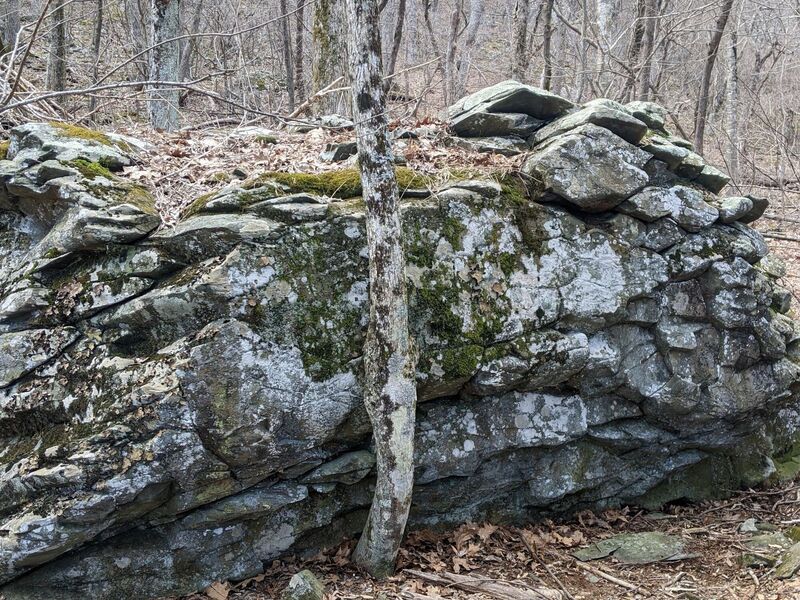 Front view of the boulder problem. To the right of the tree