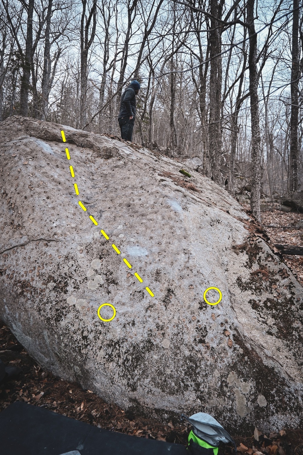 The hands, with the foot chips being close to the leaves.