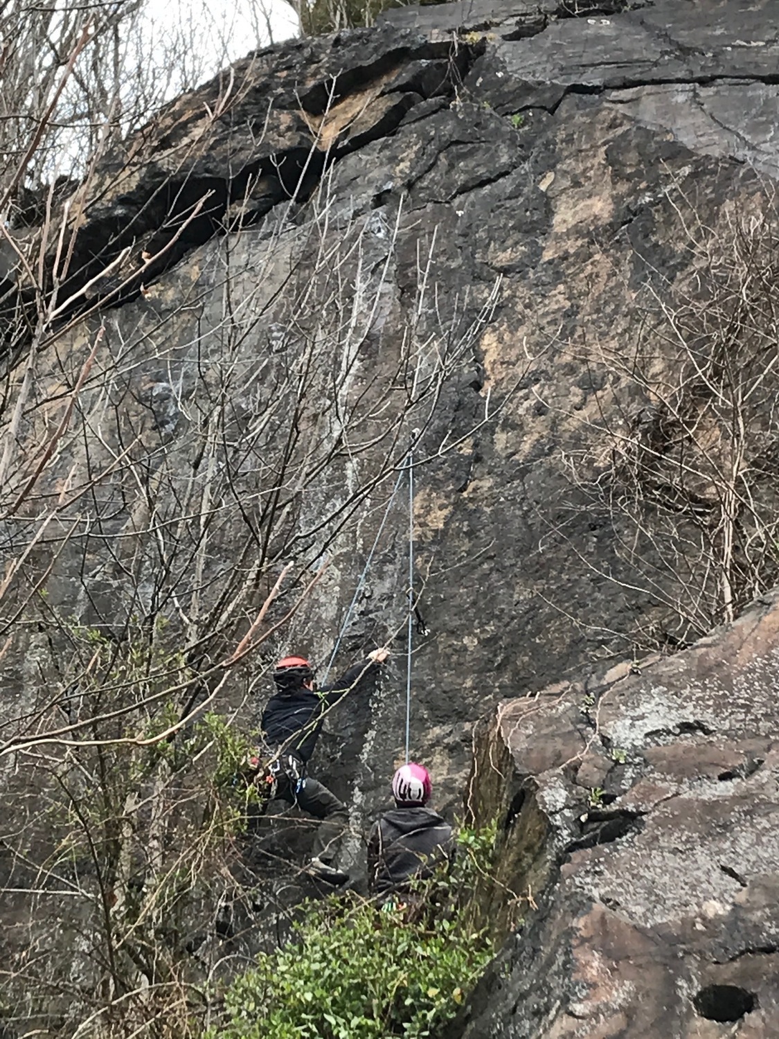 Clever Retort (right, with climbers) and Sugar High (left)