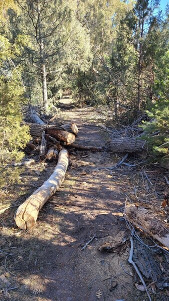 Beginning of approach trail