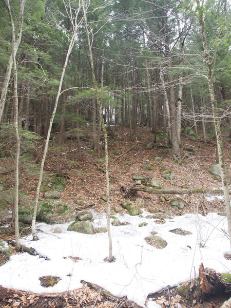 At the stream, Looking up the steep slope towards Far Right (?) [or ...