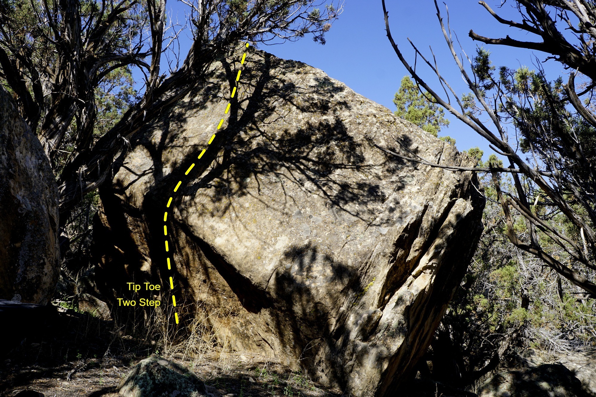 Pine Needle Boulder - Tip Toe Two Step