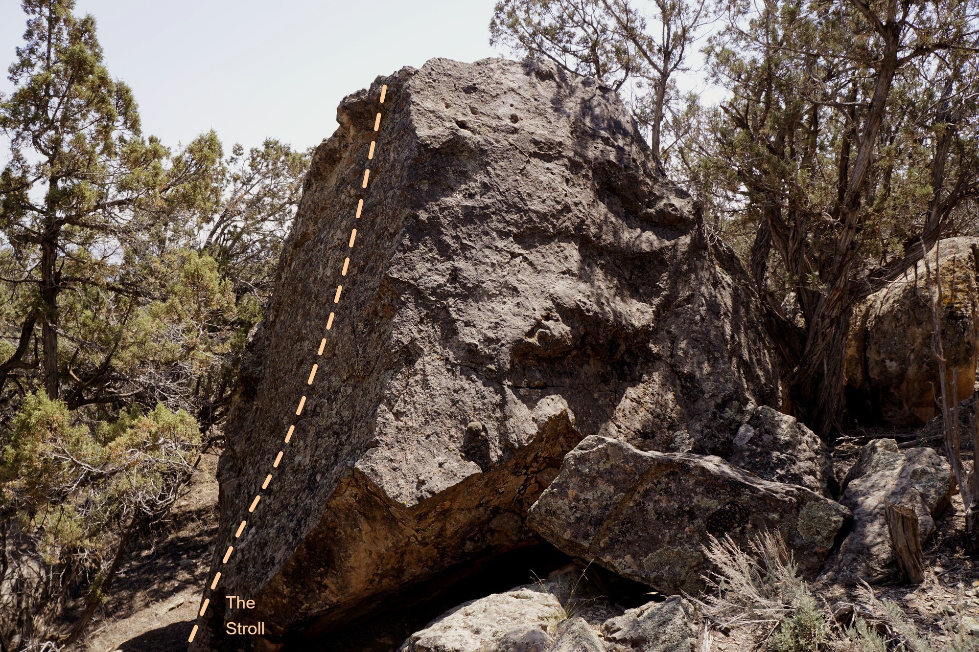 Pine Needle Boulder - uphill side.