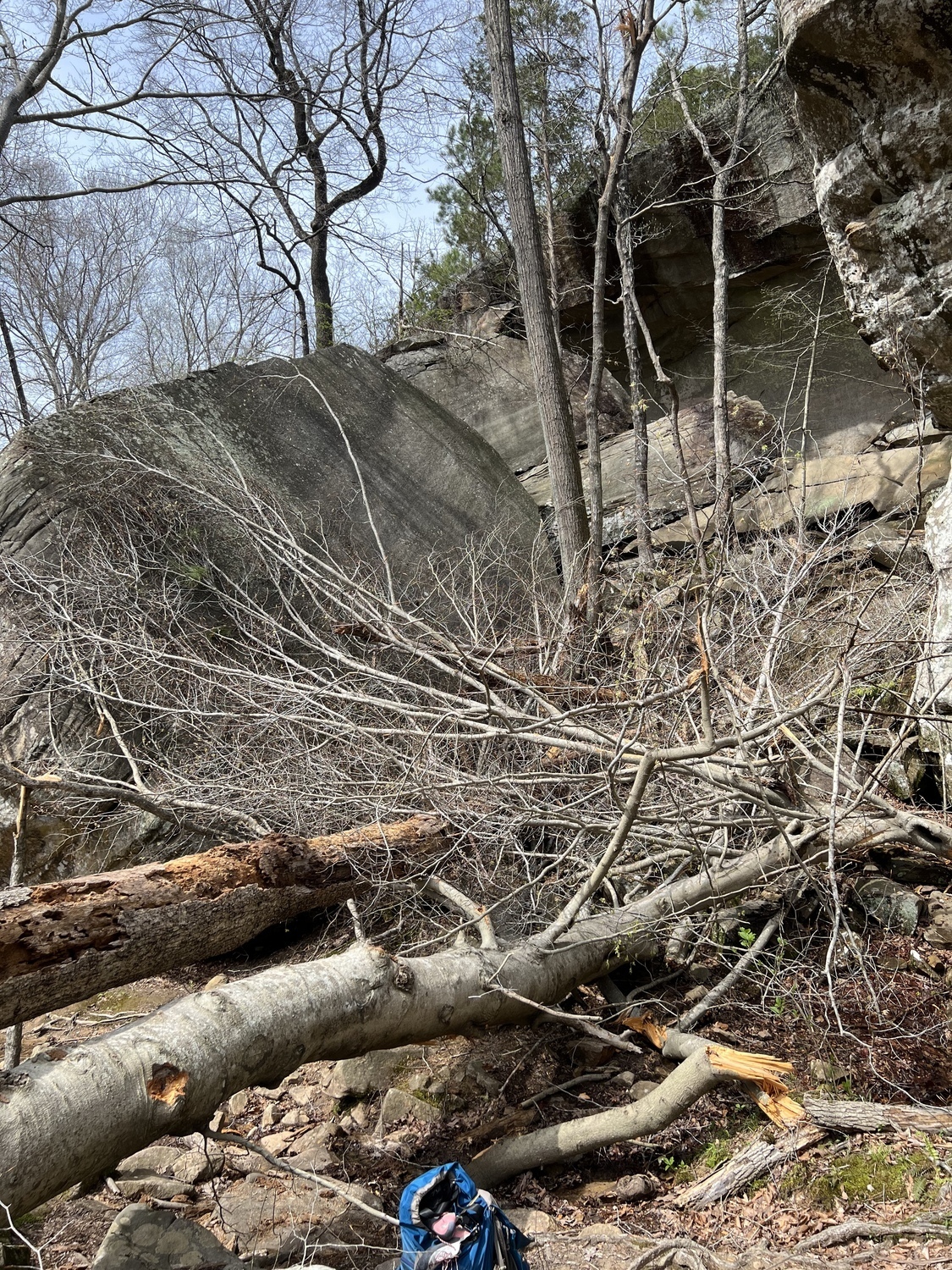 Several downed trees make the approach to Yosemite Slab a bit ...