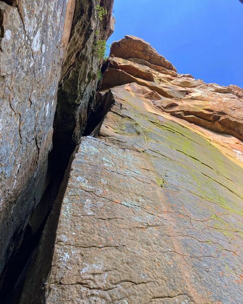 From the bottom. Photo cred: Emma Rockey