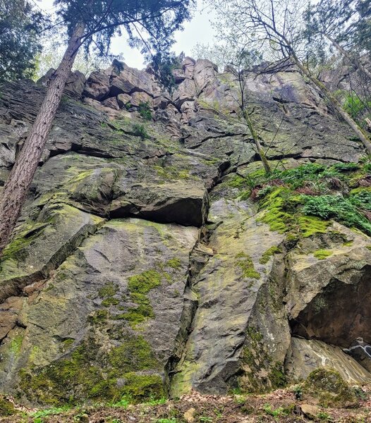 Rock Climb The Plum, Portland & The Gorge