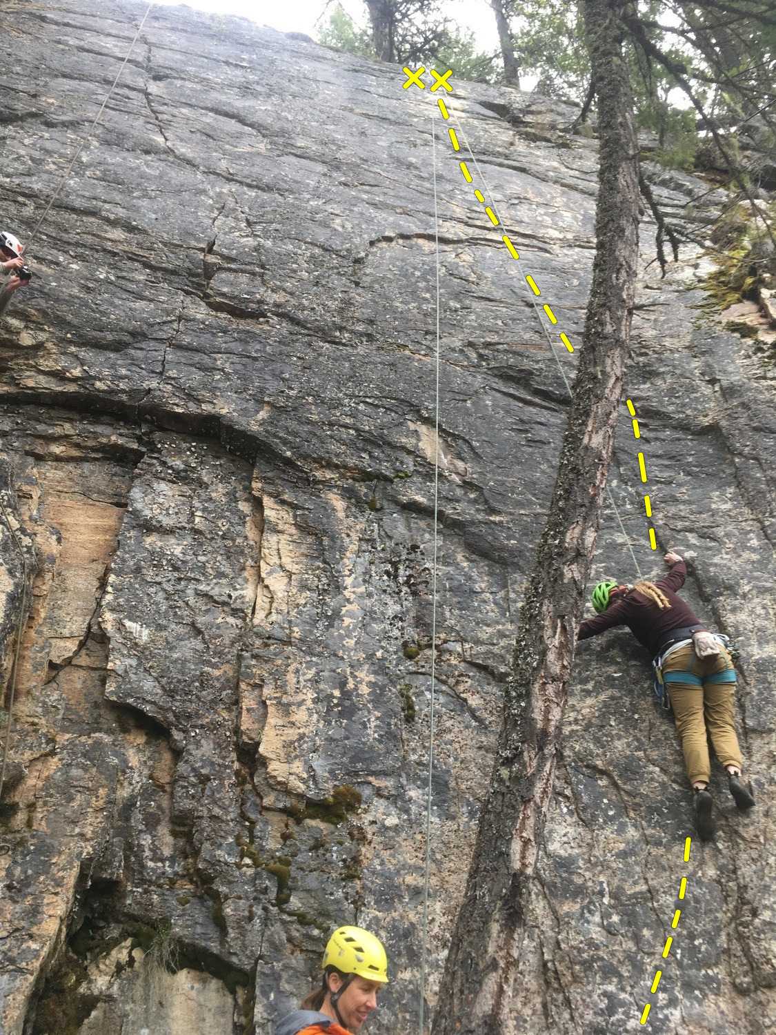 The Cheese of Mystery