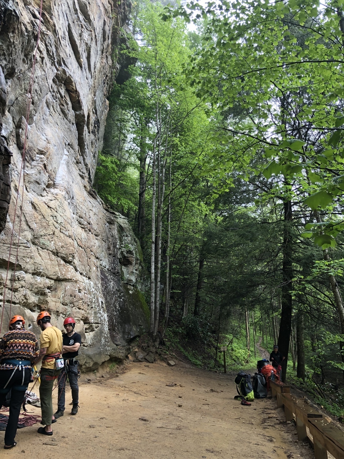 Red River Gorge/ Muir Valley bottom of bruise brothers wall. Pristine ...