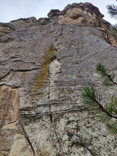 Thin finger crack, lots of pin scar and texture.