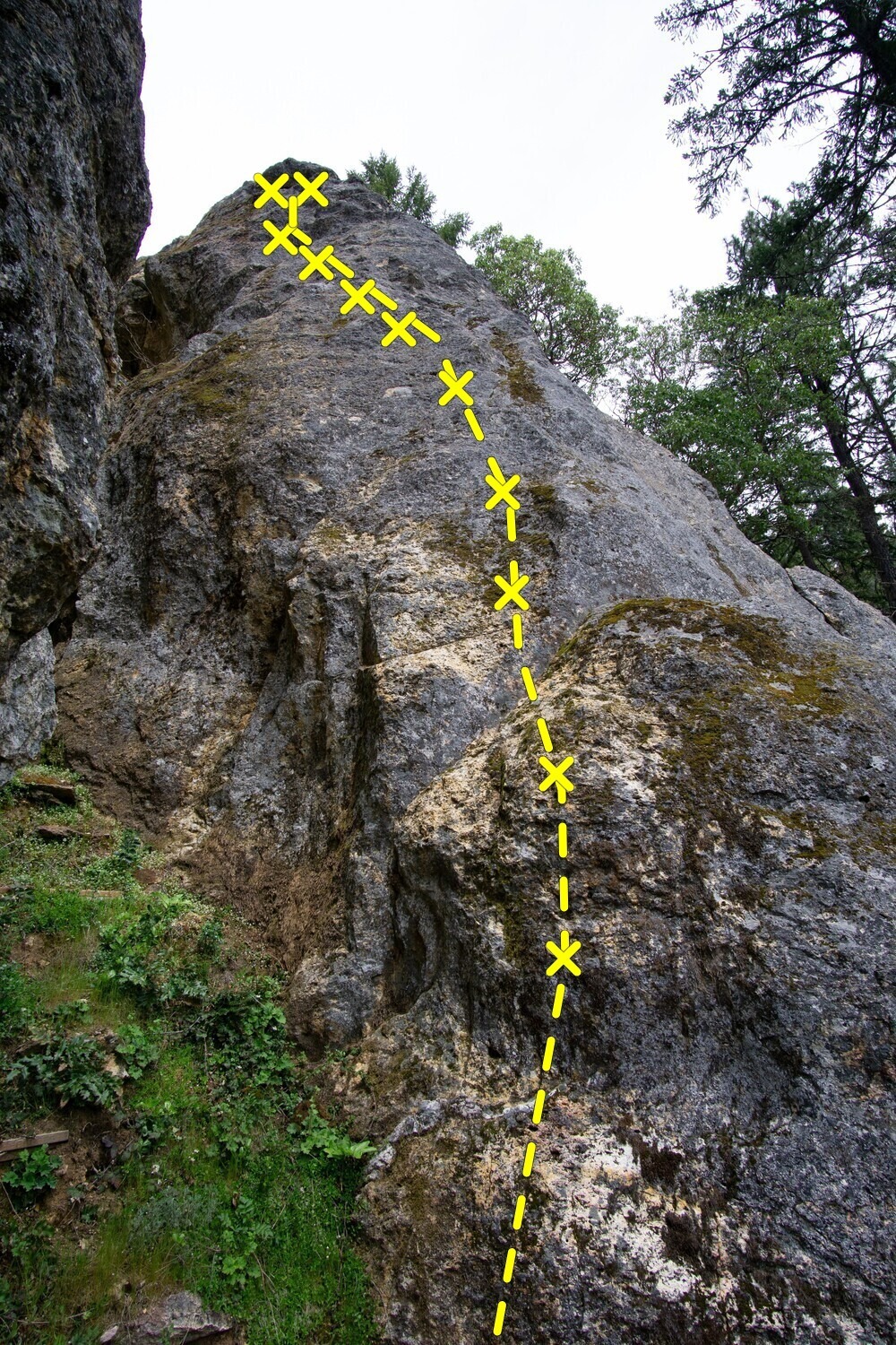 Topo of Dragonfly