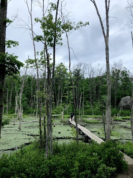 Plumber's Crack boulder visible far right