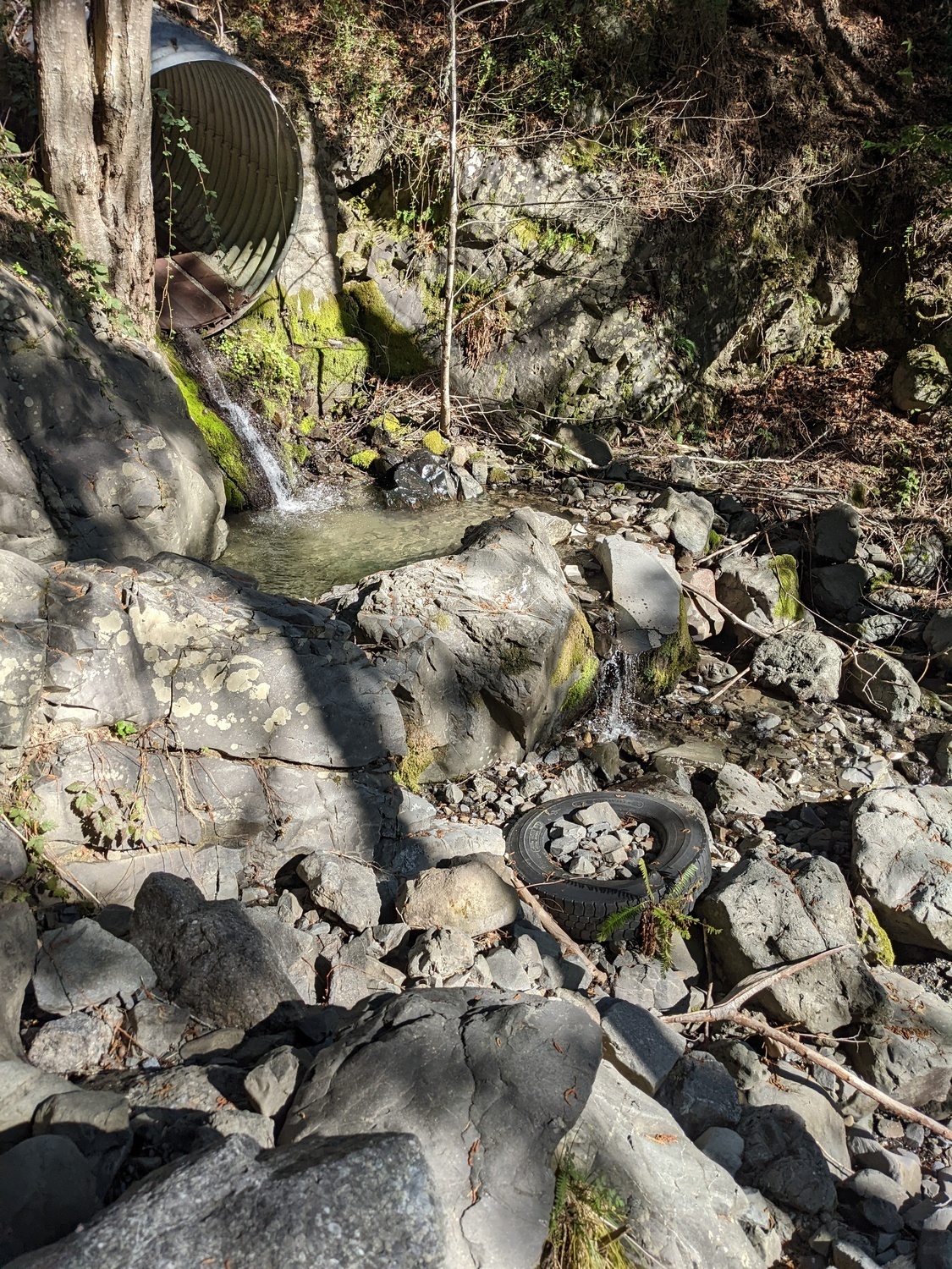 Seasonal waterfall in the gully below the East Face