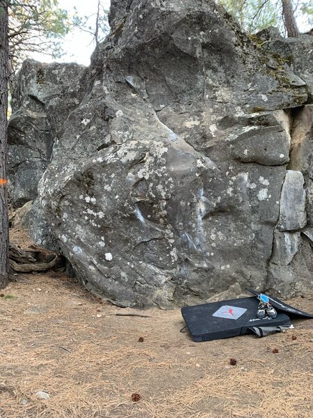 Beta for Battle Toad V2