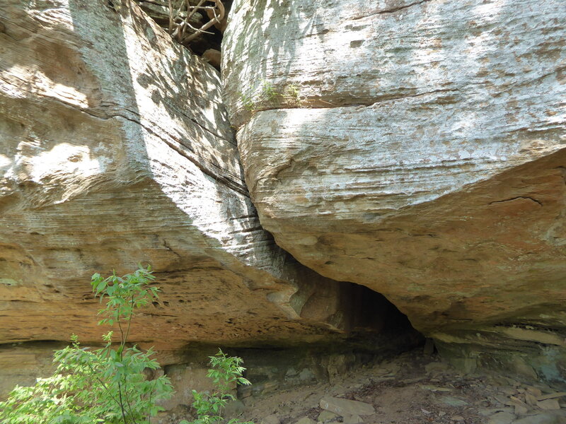 Rock Climb Ground scraper, Red River Gorge