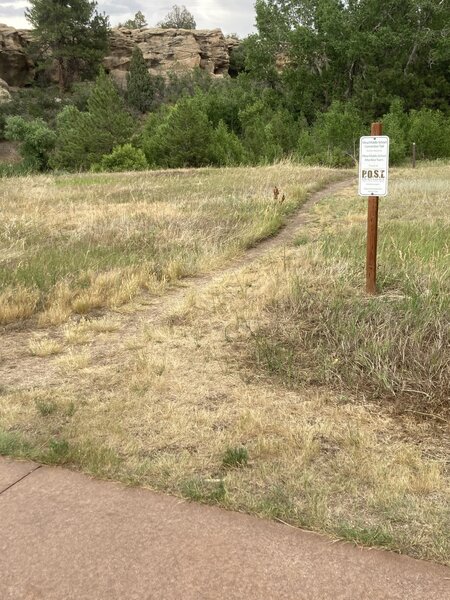 The trail access point.