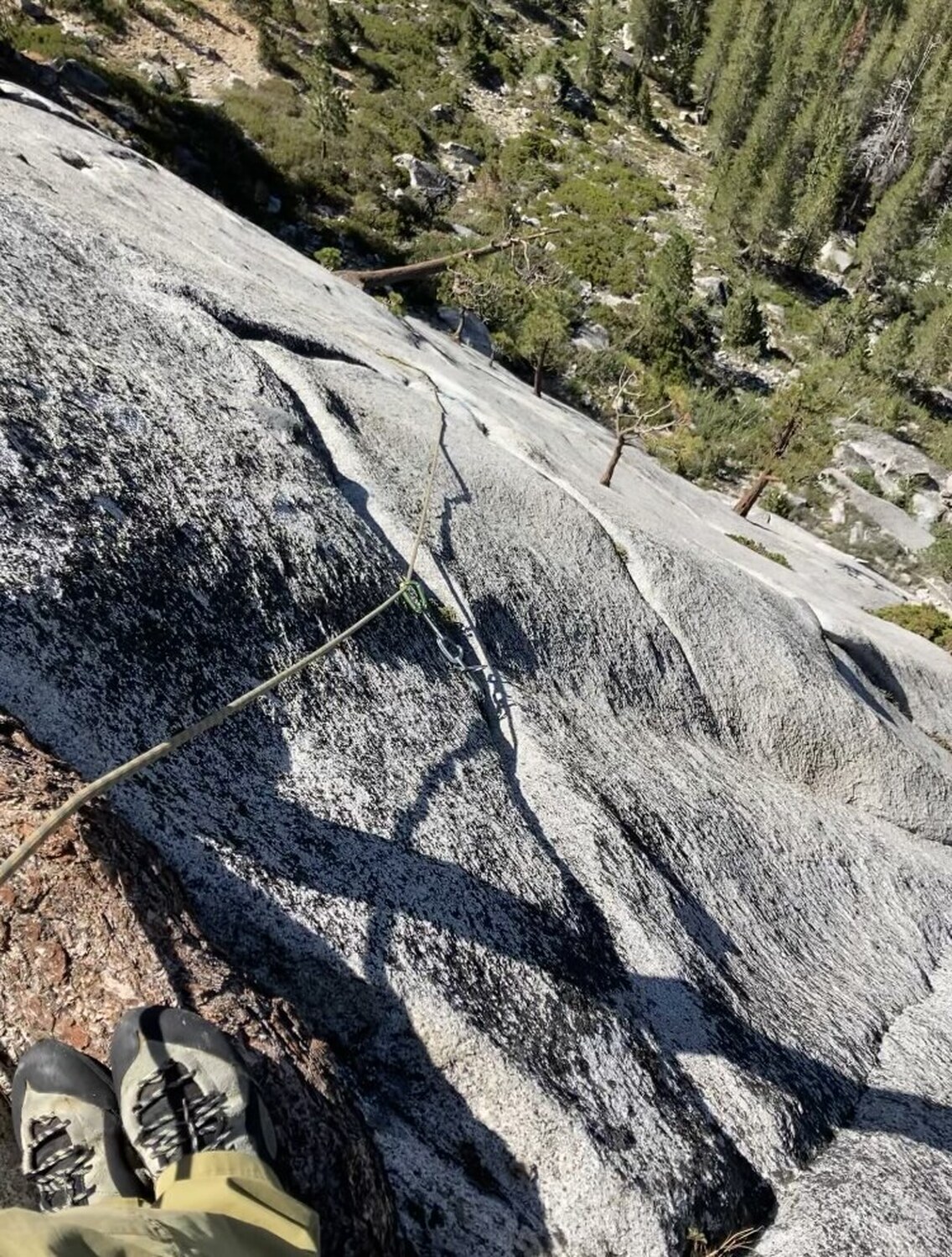 View from mid climb pine tree