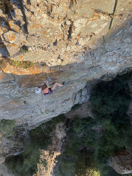 Rock Climb Weed Killer, Big Cottonwood Canyon