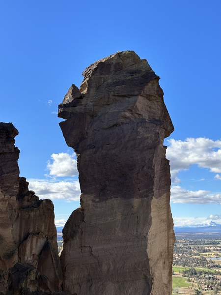 The monkey face tower