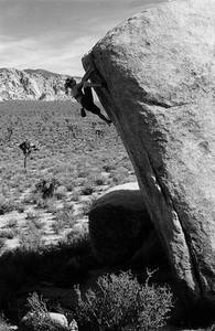 Climb White Rastafarian, Joshua Tree National Park
