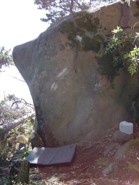 Climbing in The Shroom Boulder, San Francisco Bay Area Climbing in The Shroom Boulder, San Francisco Bay Area