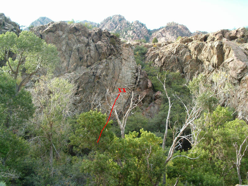 Rock Climbing in Seldom Scene Gully, Big Cottonwood Canyon