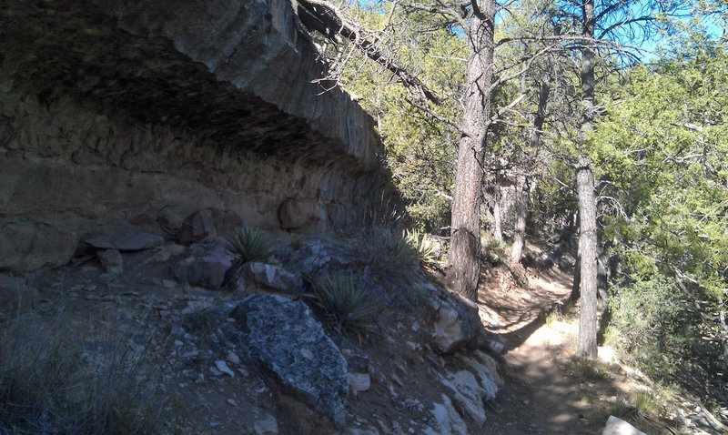 Walnut Canyon Rim Hiking Trail, Flagstaff, Arizona