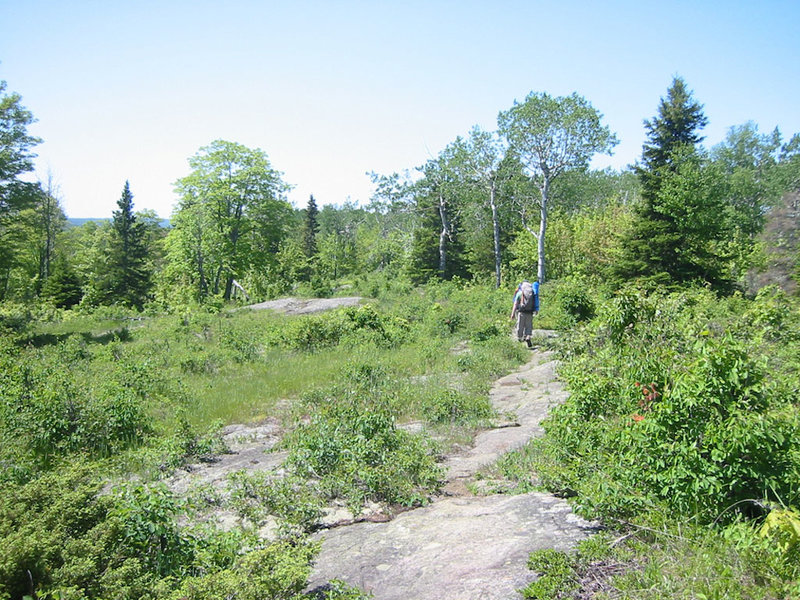 Greenstone Ridge Trail Hiking Trail, Isle Royale, Michigan