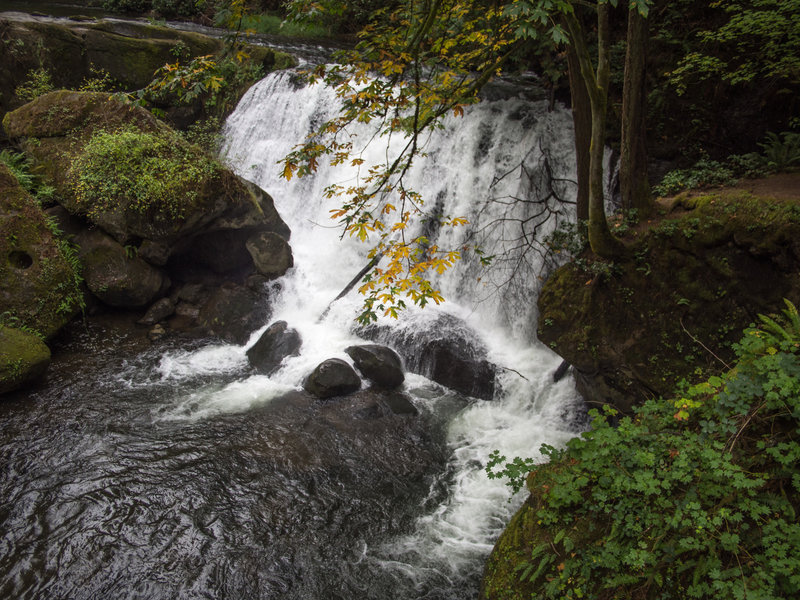 Whatcom Creek Trail - East Hiking Trail, Bellingham, Washington