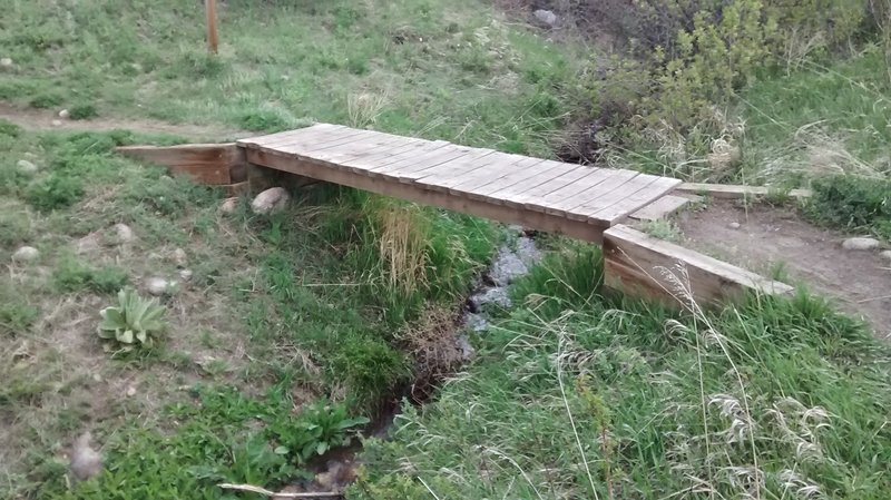 A bridge over a small brook. The vegetation near this water source is ...