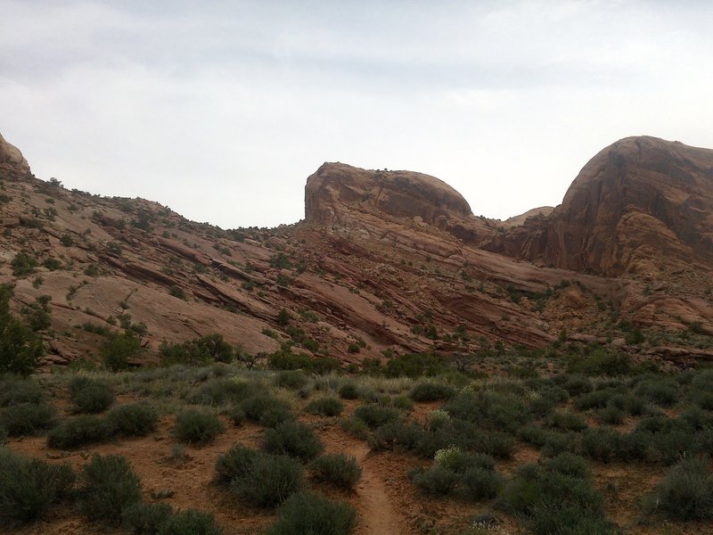 Along the Syncline Loop in Canyonlands.