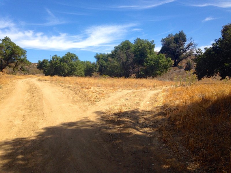 Make sure to stay on the more worn path. It is easy to take a side ...