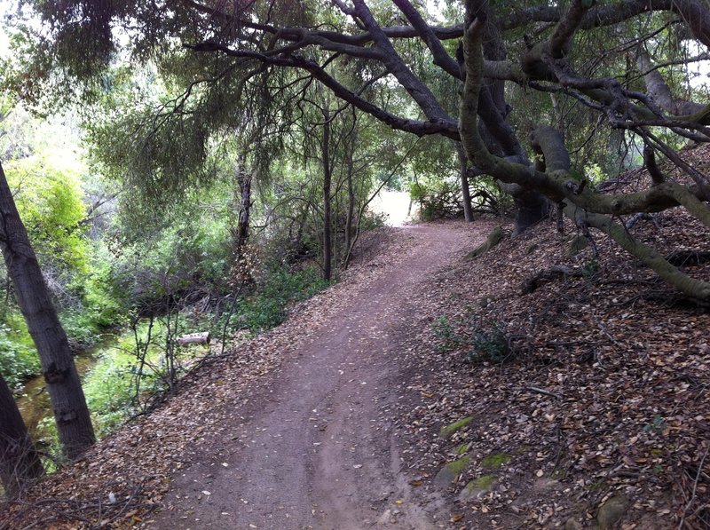 Aliso Creek Park Loop Hiking Trail, Aliso Viejo, California