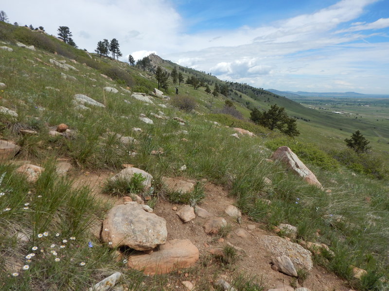 View north along the ridge line