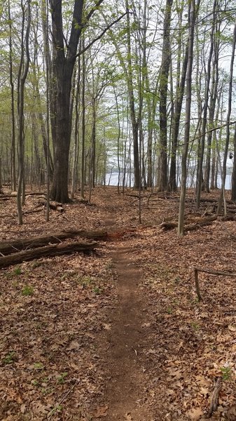 North section of Peninsula trail with Shenango Reservoir viewed through ...