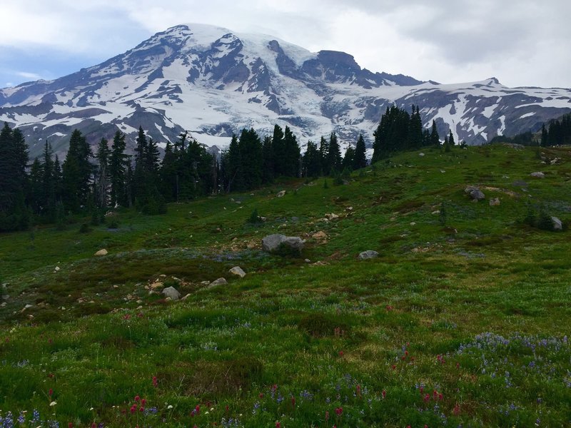 Moraine Hiking Trail, Eatonville, Washington