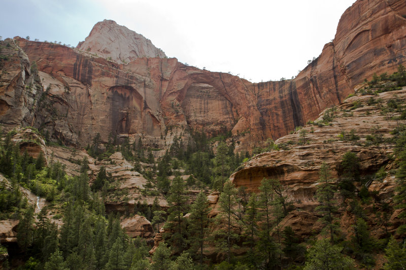 Kolob Arch via La Verkin Creek Running Trail, Toquerville, Utah